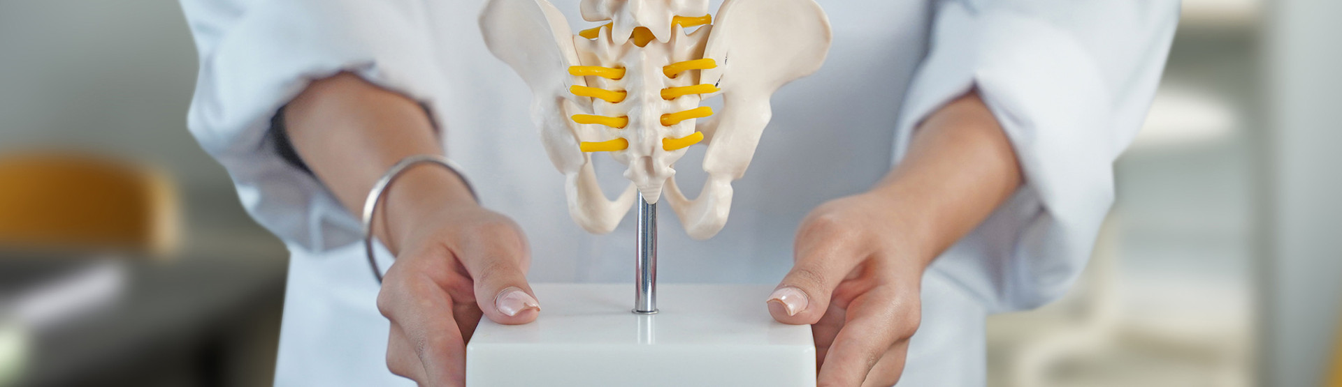 Our Providers - Bone & Joint Specialists of Winchester